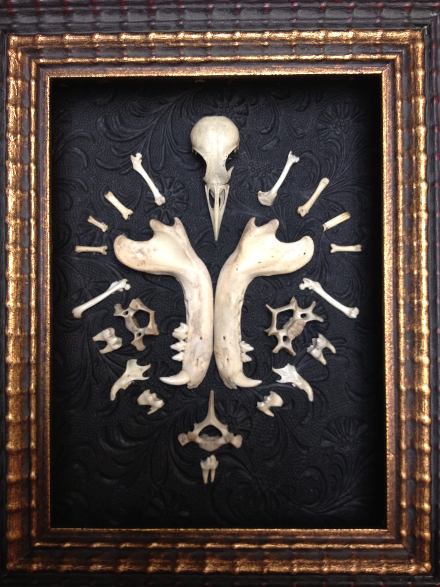 Bone Art | Lavana Shurtliff